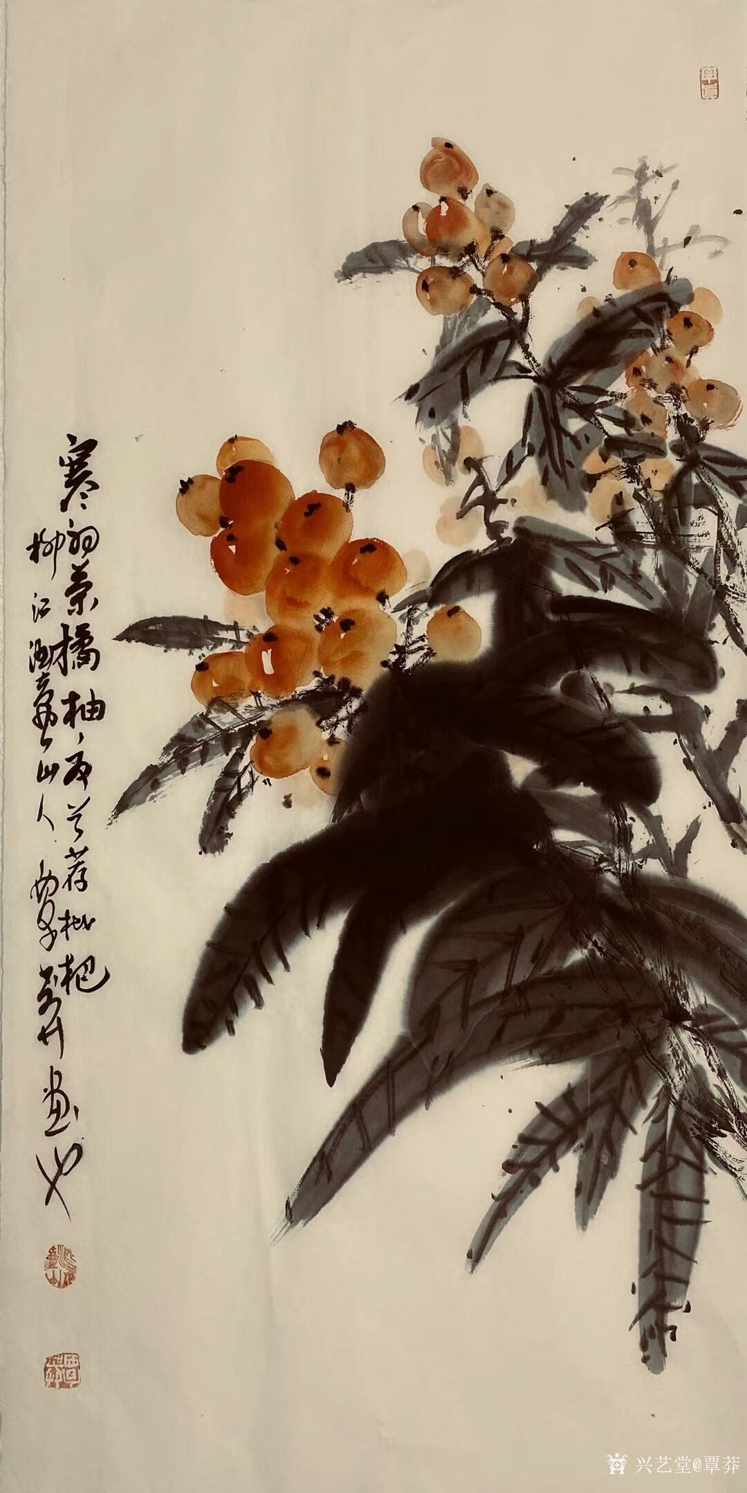 覃莽日记:国画花鸟画枇杷系列作品《东园载酒西园醉，摘尽枇杷一树金》，作_兴艺堂
