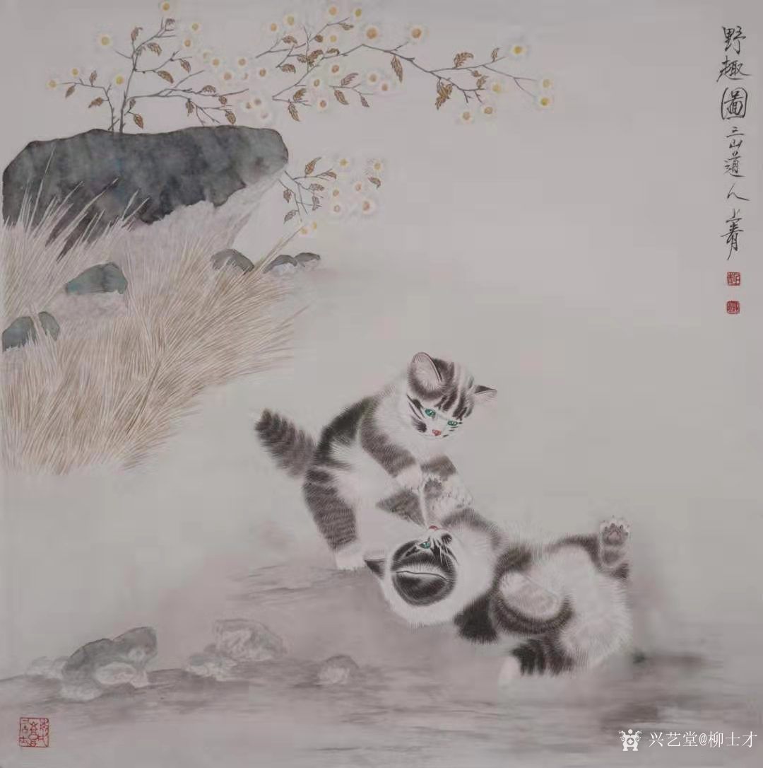 柳士才日记:国画动物画猫咪系列作品《野趣图》《耄耋图》我常常画只猫咪在鲜_兴艺堂