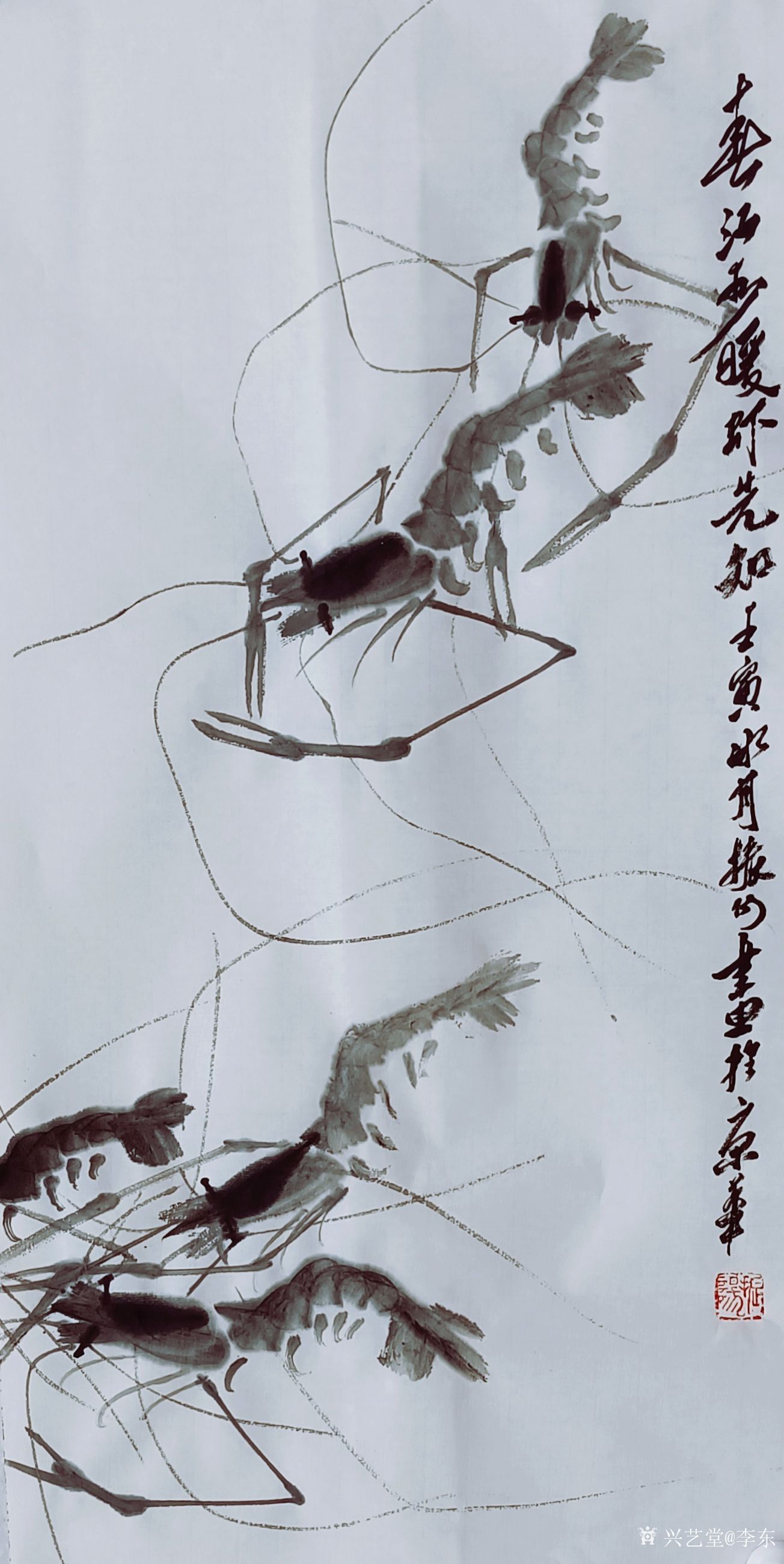李振阳日记:国画虾图34-68_兴艺堂