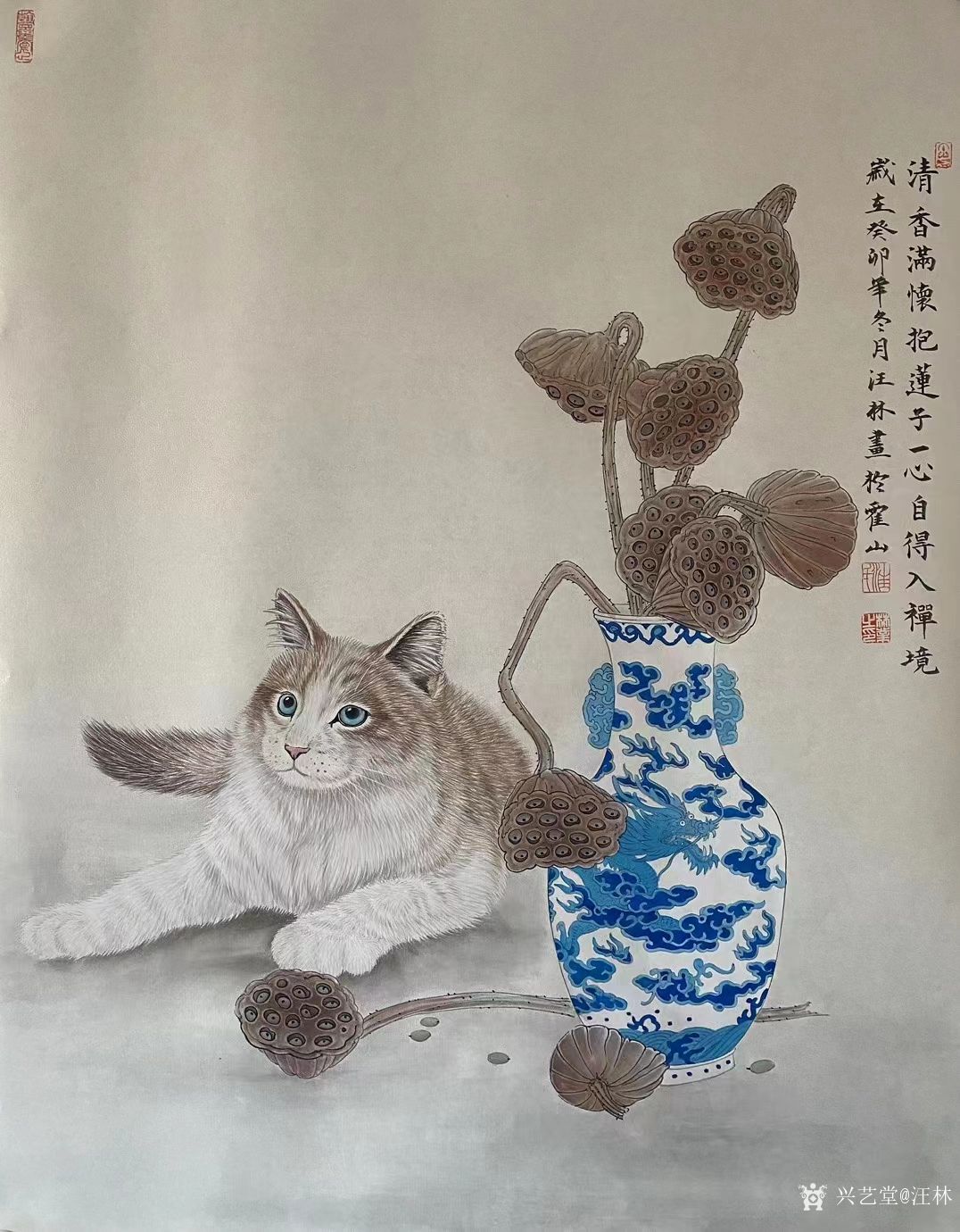 汪林日记:国画工笔画可爱猫猫系列作品欣赏，汪林葵卯年工笔画作品。_兴艺堂